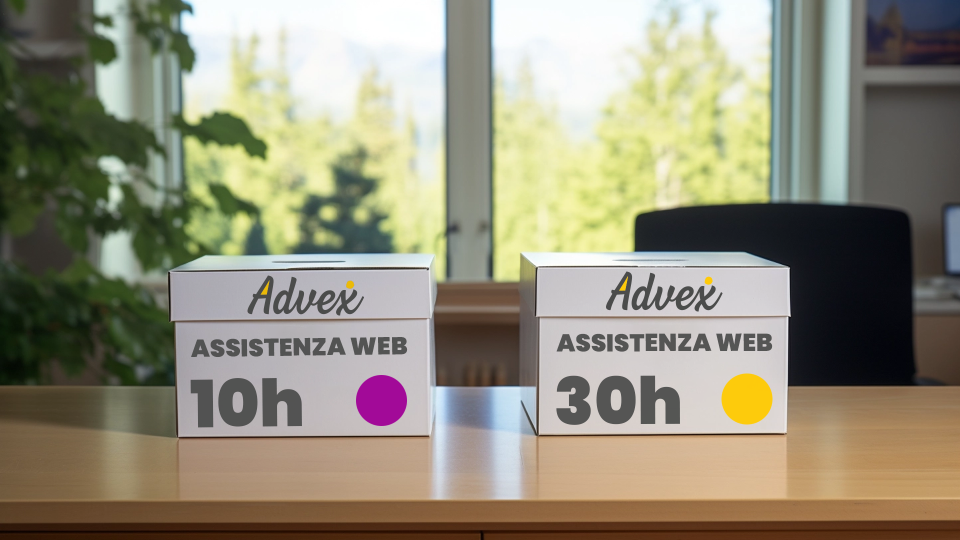 Assistenza - Advex Pubblicità